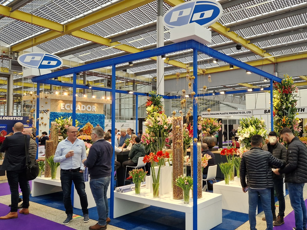 Onings in preparation for IFTF 2024 | Onings Holland Flowerbulbs